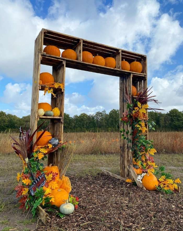 Pumpkin Picking in Wirral, Best Wirral Pumpkin Patches in 2023