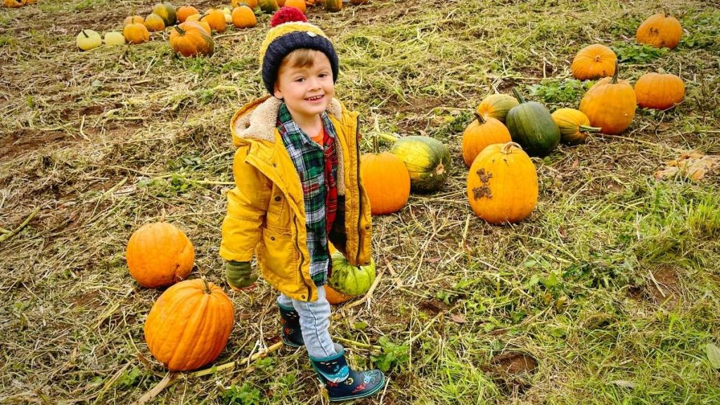 Pumpkin Picking in Wirral, Best Wirral Pumpkin Patches in 2023